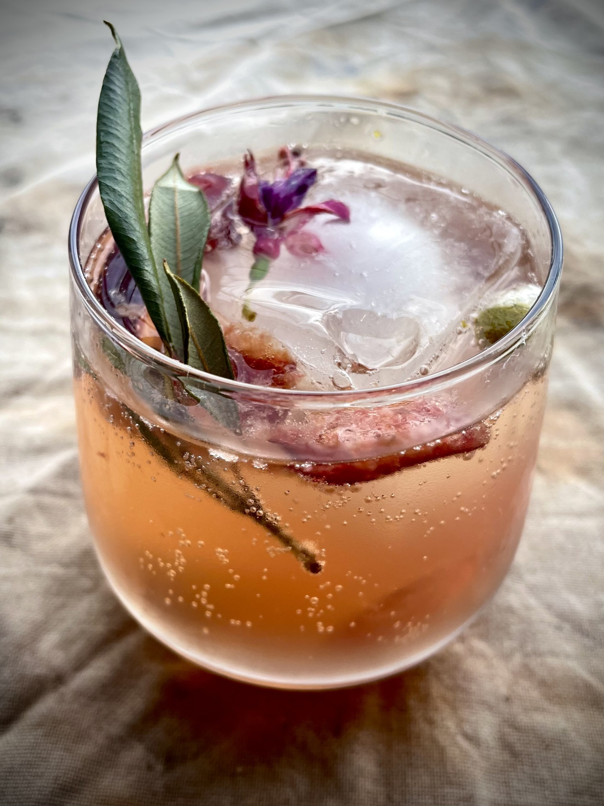Sip, Learn and Slow Down: Native Botanical Mocktails at World Science ...